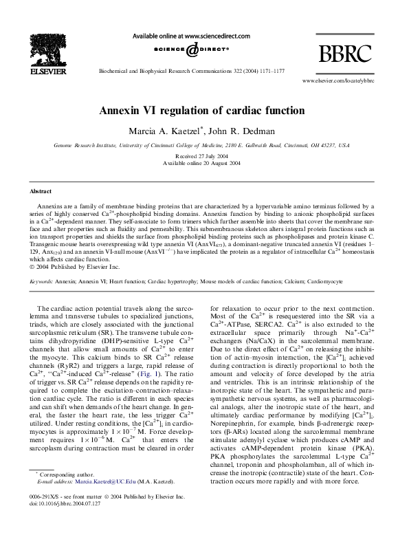 (PDF) Annexin VI regulation of cardiac function
