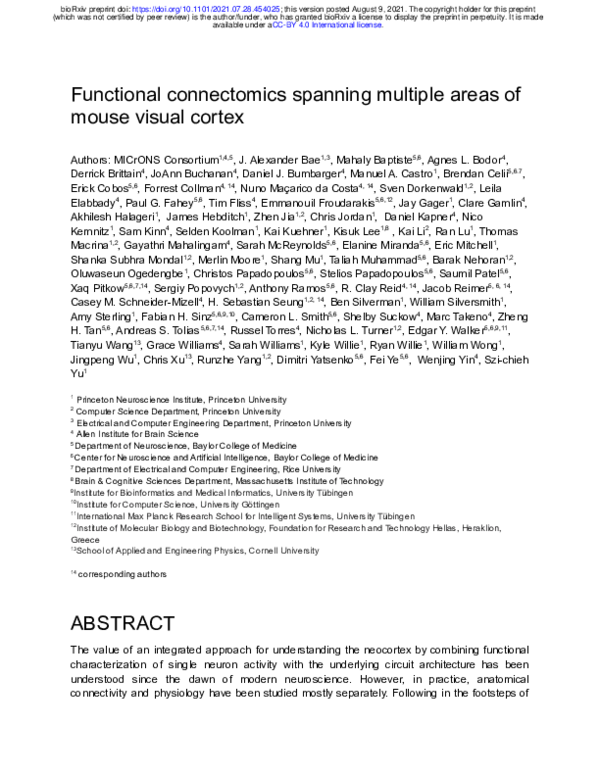 (PDF) Functional connectomics spanning multiple areas of mouse visual cortex