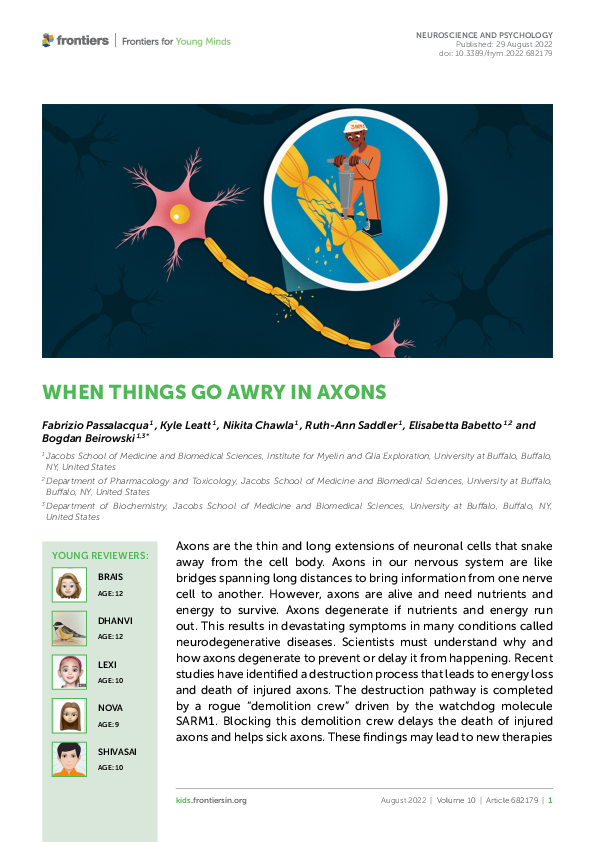 (PDF) When Things Go Awry in Axons