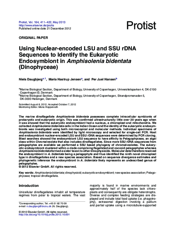 (PDF) Using Nuclear-encoded LSU and SSU rDNA Sequences to Identify the ...