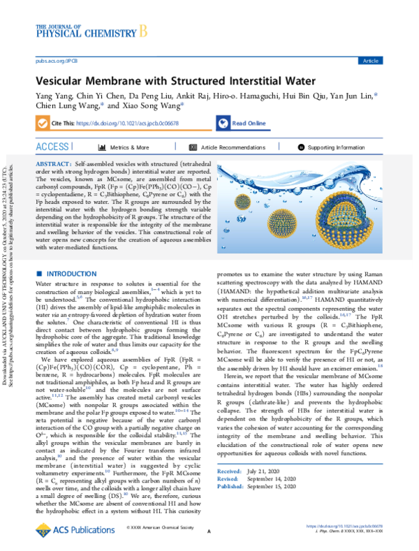 (PDF) Vesicular Membrane with Structured Interstitial Water