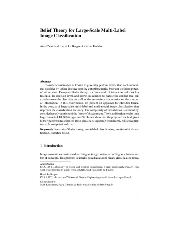 (PDF) Belief Theory for Large-Scale Multi-label Image Classification