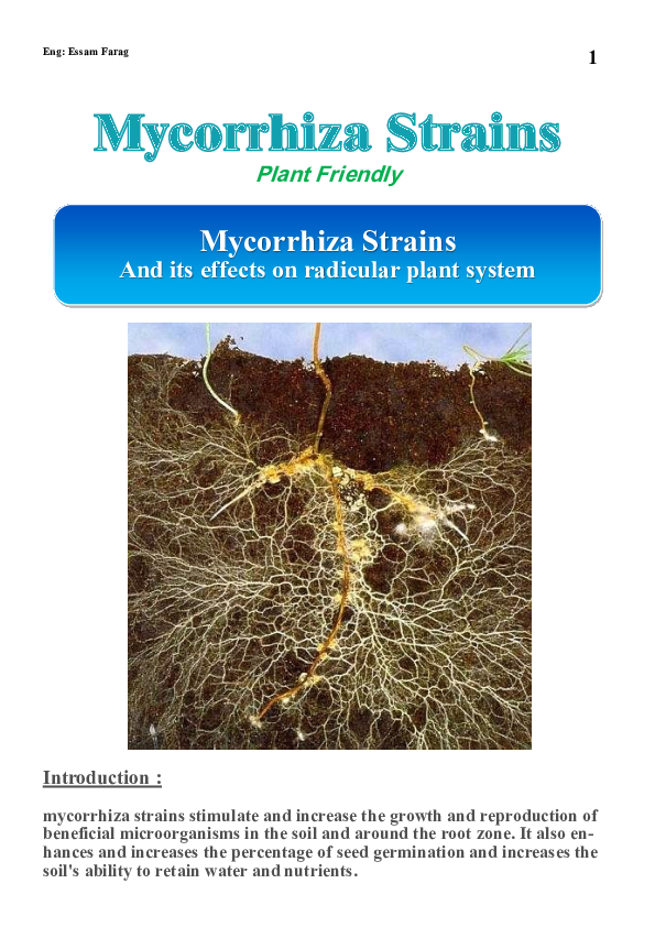 (PDF) Mycorrhiza and its importance to plants