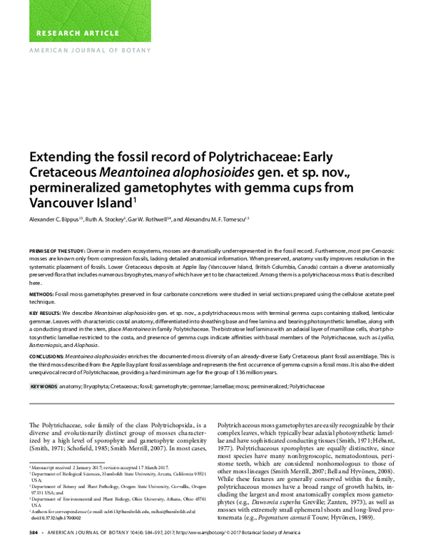 (PDF) Extending the fossil record of Polytrichaceae: Early Cretaceous ...