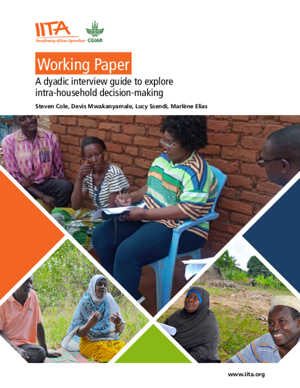 (PDF) A dyadic interview guide to explore intra-household decision-making