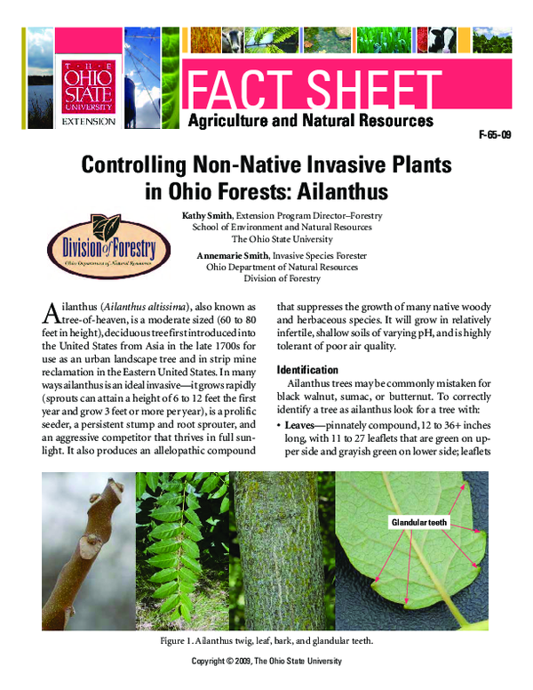 (PDF) Controlling non-native invasive plants in Ohio forests: Bush ...