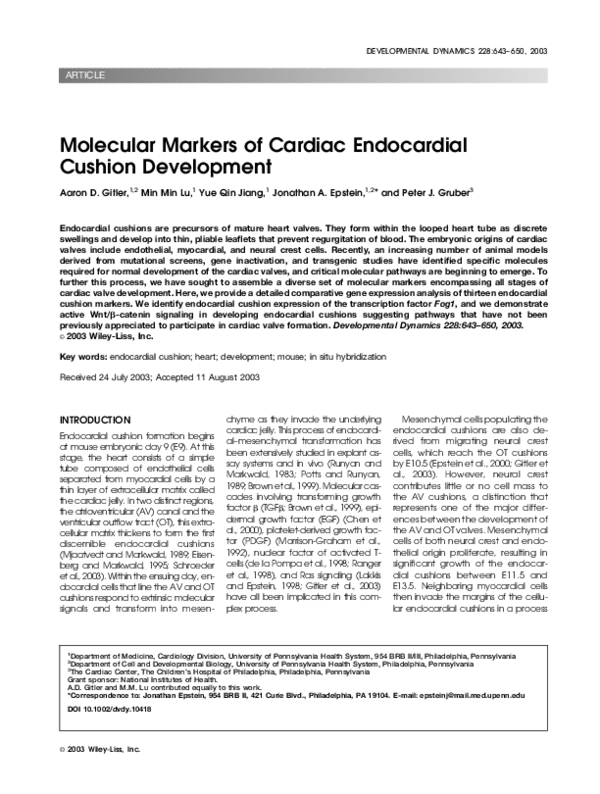 Molecular markers of cardiac endocardial cushion development