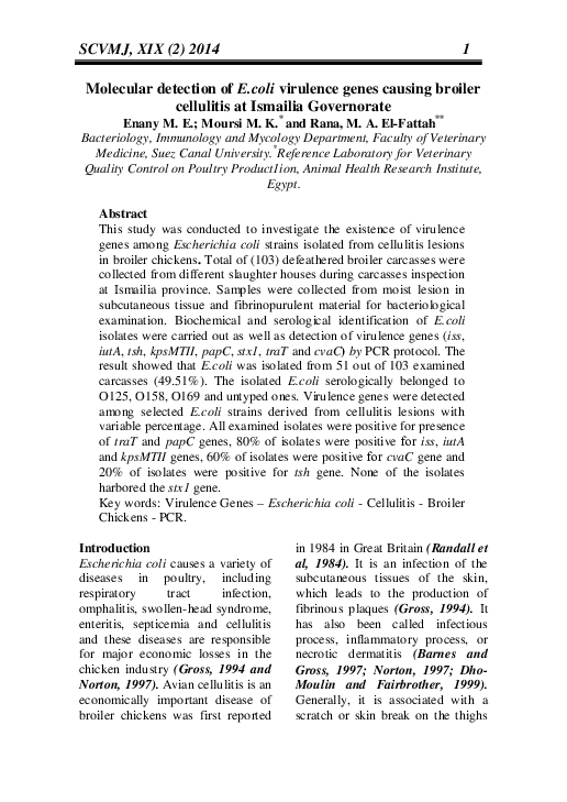 (PDF) Molecular detection of E.coli virulence genes causing broiler ...
