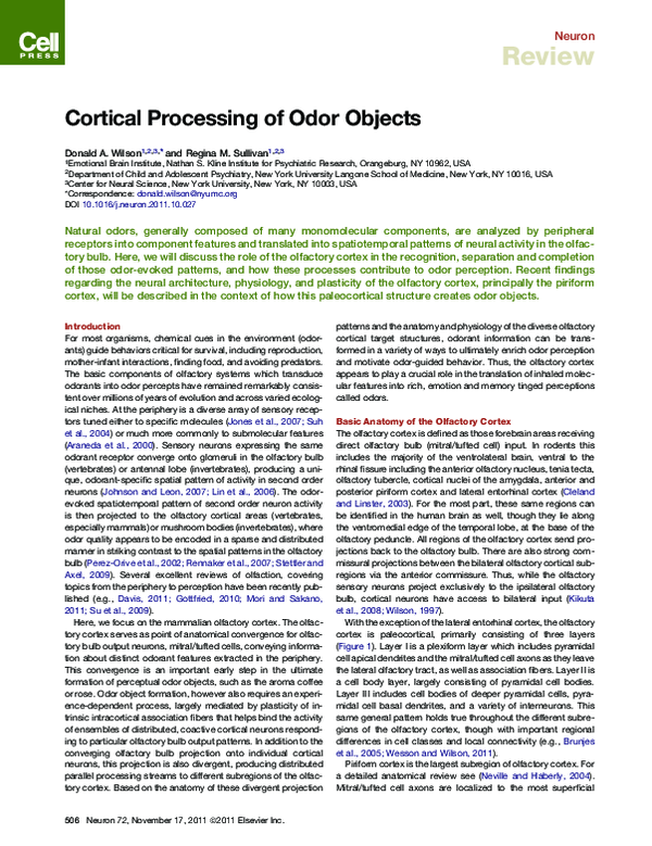 (PDF) Cortical Processing of Odor Objects