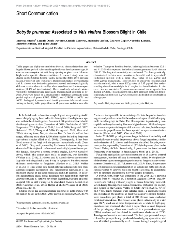 (PDF) Botrytis prunorum Associated to Vitis vinifera Blossom Blight in Chile