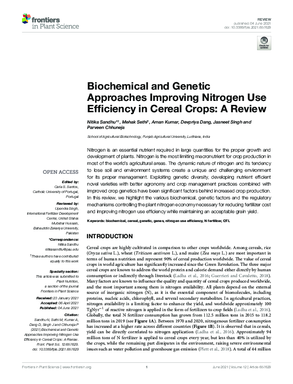(PDF) Biochemical and Genetic Approaches Improving Nitrogen Use ...