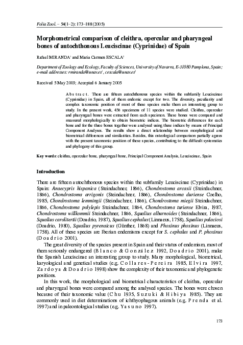 (PDF) Morphometrical comparison of cleithra, opercular and pharyngeal ...
