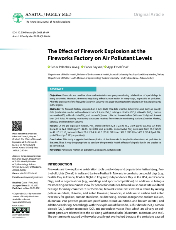 (PDF) The Effect Of The Explosion At The Fireworks Factory On Air ...