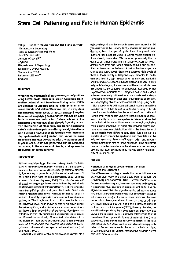 (PDF) Stem cell patterning and fate in human epidermis