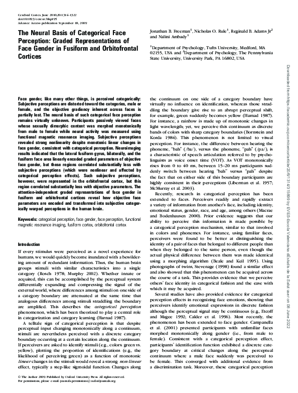 (PDF) The Neural Basis of Categorical Face Perception: Graded ...