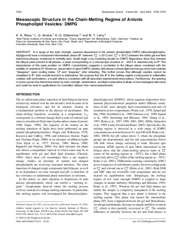 (PDF) Mesoscopic Structure in the Chain-Melting Regime of Anionic ...