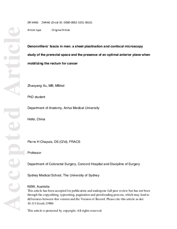 (PDF) Denonvilliers' fascia in men: a sheet plastination and confocal ...