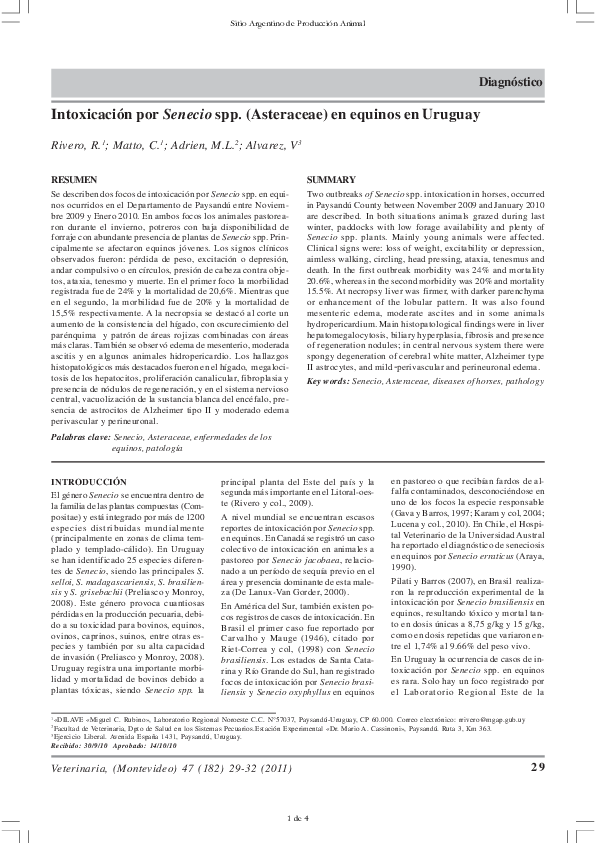 (PDF) Intoxicación por Senecio spp. (Asteraceae) en equinos en Uruguay ...