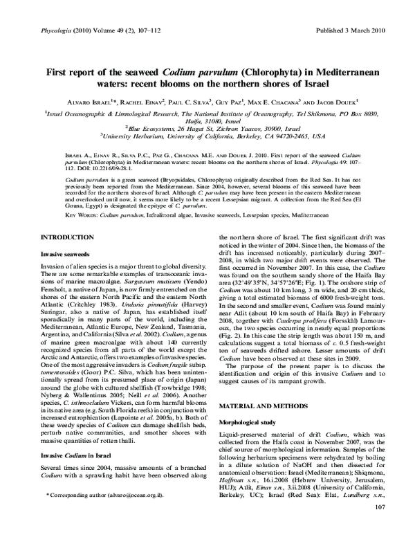 (PDF) First report of the seaweed Codium parvulum (Chlorophyta) in ...