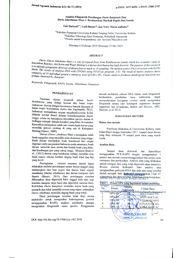 (PDF) Analisis Filogenetik durio hasil persilangan