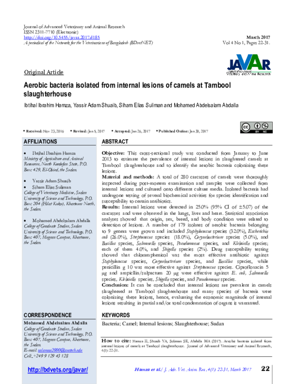 (PDF) Aerobic bacteria isolated from internal lesions of camels at ...