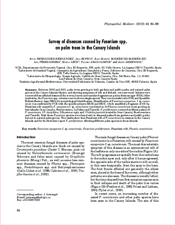 (PDF) Survey of diseases caused by Fusarium spp. on palm trees in the ...