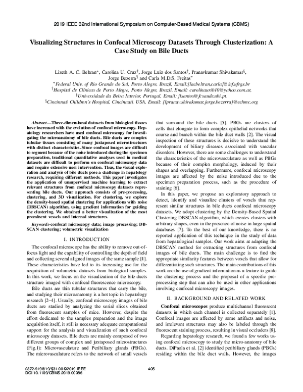 (PDF) Visualizing Structures in Confocal Microscopy Datasets Through Clusterization: A Case ...