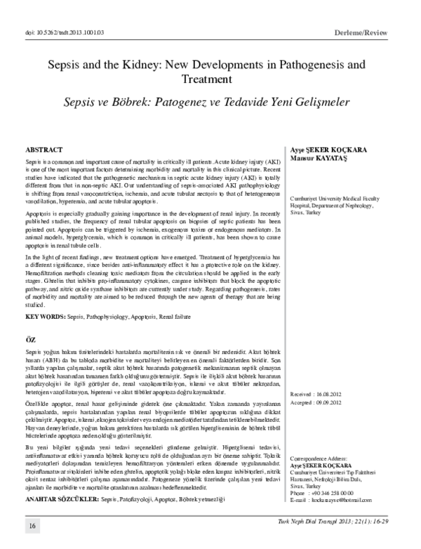 (PDF) Sepsis and the Kidney: New Developments in Pathogenesis and Treatment