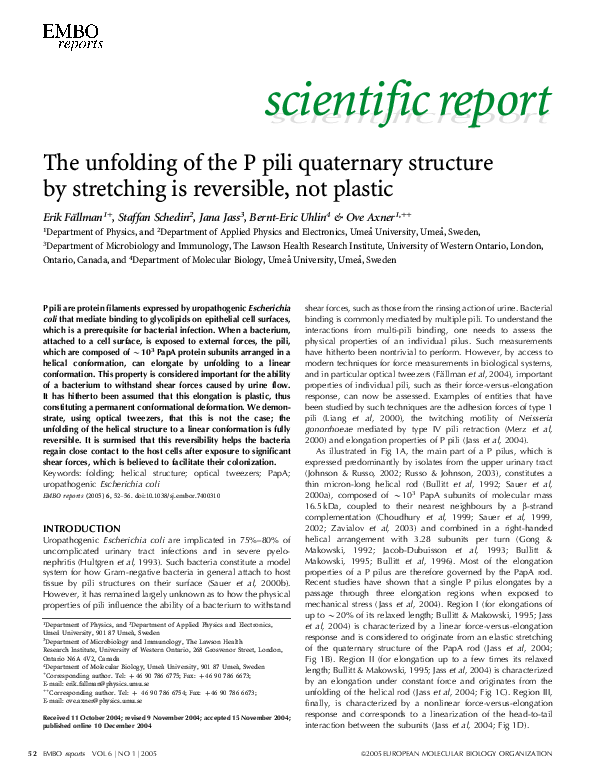(PDF) The unfolding of the P pili quaternary structure by stretching is ...