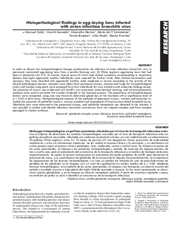 (PDF) Histopathological findings in egg-laying hens infected with avian ...