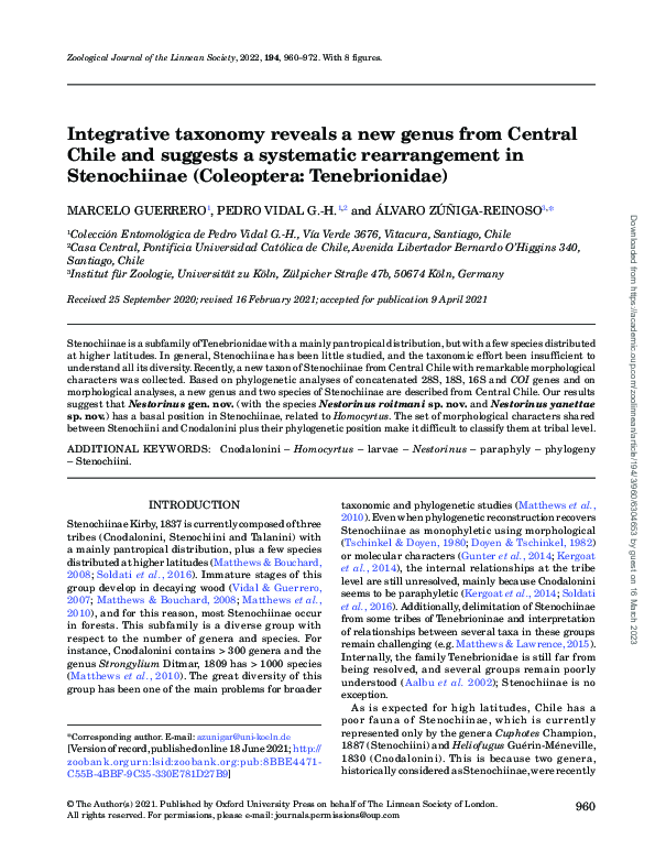 (PDF) Integrative taxonomy reveals a new genus from Central Chile and ...