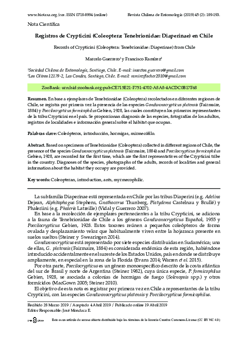 (PDF) Registros de Crypticini (Coleoptera: Tenebrionidae: Diaperinae ...