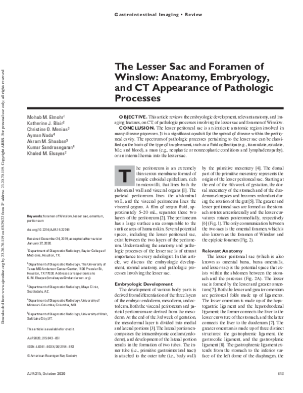 (PDF) The Lesser Sac and Foramen of Winslow: Anatomy, Embryology, and ...