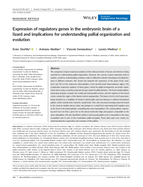 (PDF) Expression of regulatory genes in the embryonic brain of a lizard ...