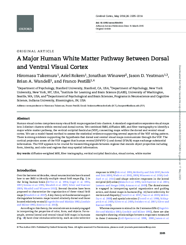 (PDF) A Major Human White Matter Pathway Between Dorsal and Ventral ...