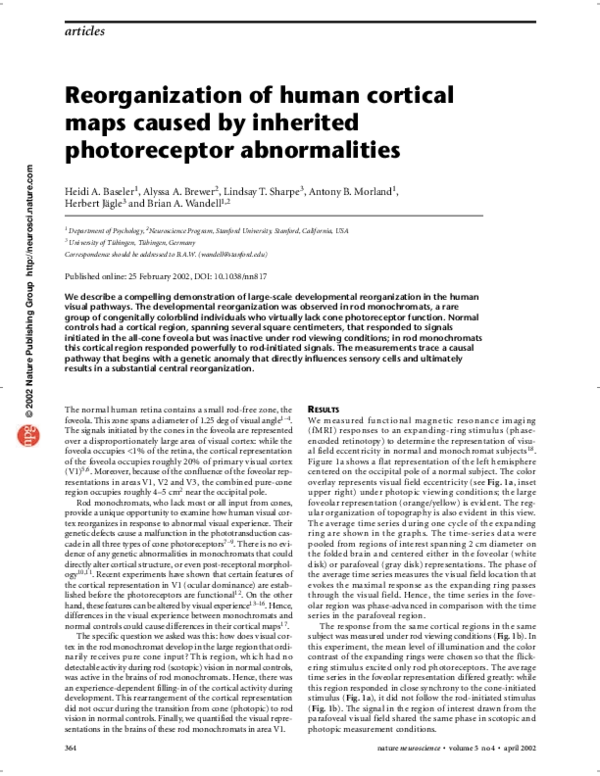 (PDF) Reorganization of human cortical maps caused by inherited ...