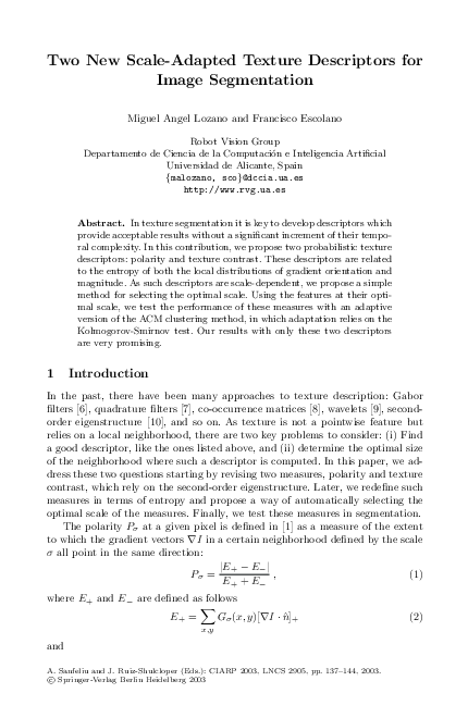 (PDF) Two New Scale-Adapted Texture Descriptors for Image Segmentation
