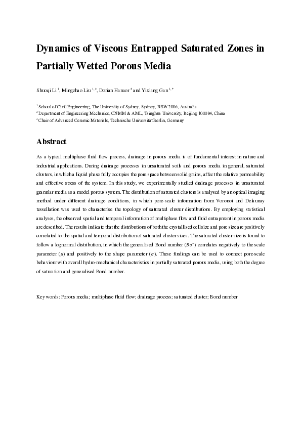 (PDF) Dynamics of Viscous Entrapped Saturated Zones in Partially Wetted Porous Media