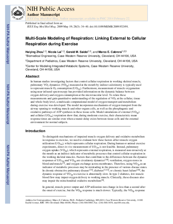 (PDF) Multiscale modeling of respiration