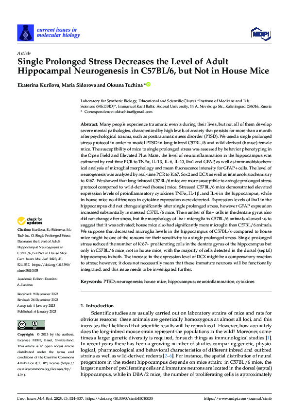(PDF) Single Prolonged Stress Decreases the Level of Adult Hippocampal ...