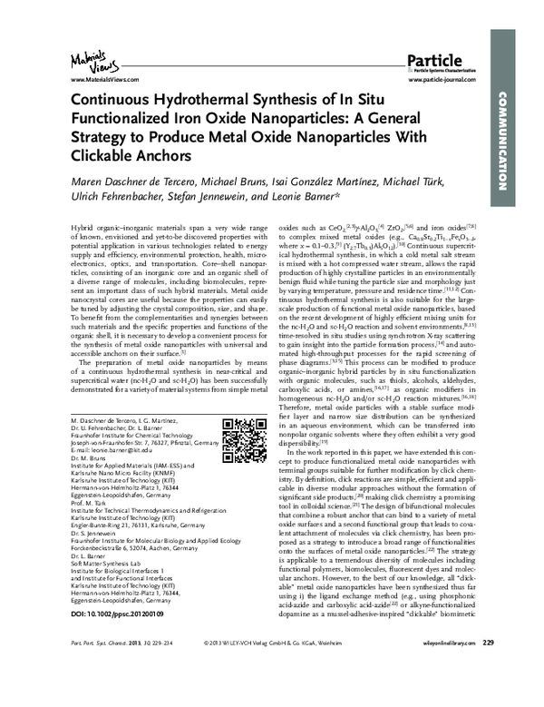 (PDF) Continuous Hydrothermal Synthesis of In Situ Functionalized Iron ...