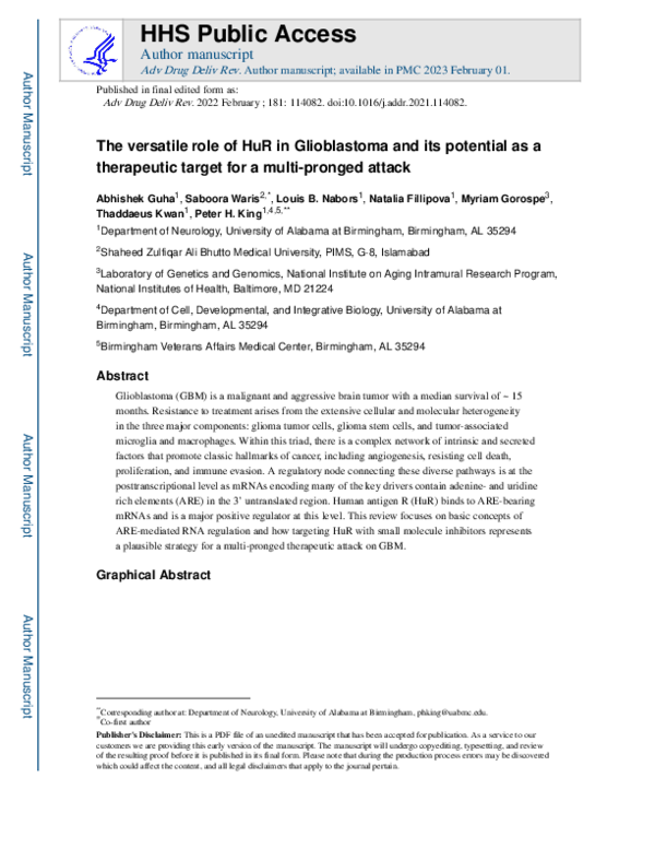 (PDF) The versatile role of HuR in Glioblastoma and its potential as a ...