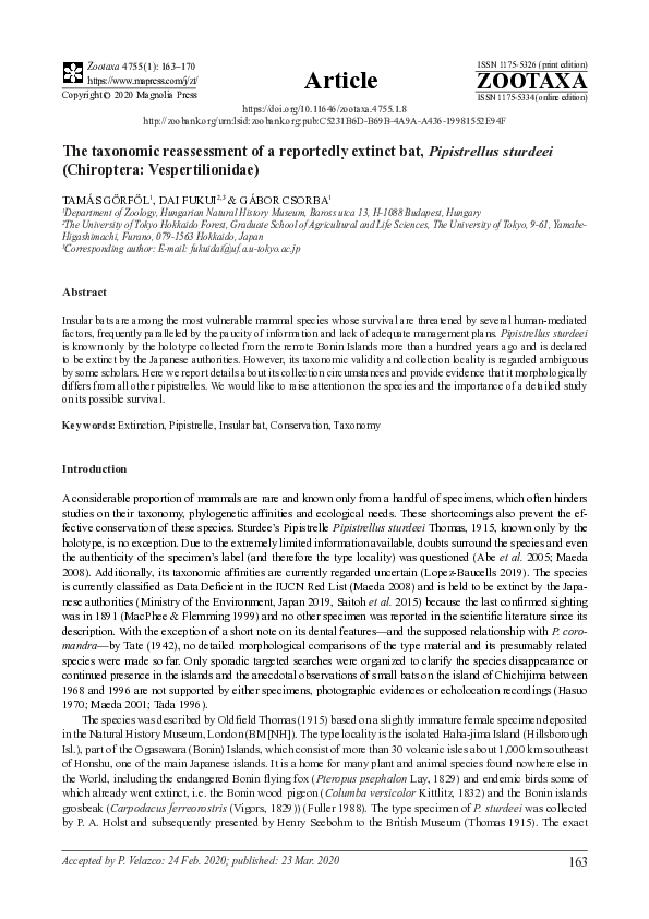 (PDF) The taxonomic reassessment of a reportedly extinct bat ...