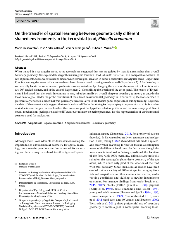 (PDF) On the transfer of spatial learning between geometrically ...