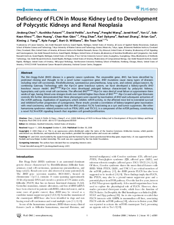 (PDF) Deficiency of FLCN in Mouse Kidney Led to Development of ...