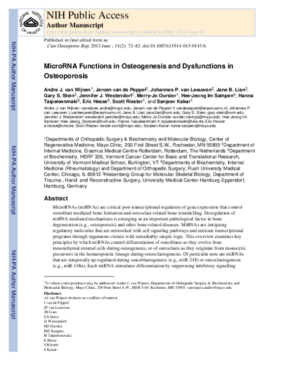 (PDF) MicroRNA Functions in Osteogenesis and Dysfunctions in Osteoporosis