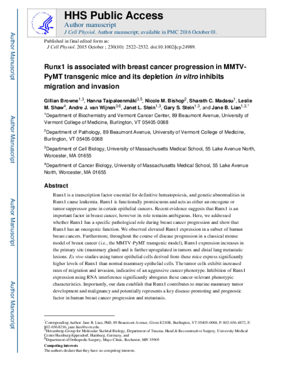 (PDF) Runx1 is associated with breast cancer progression in MMTV-PyMT transgenic mice and its ...