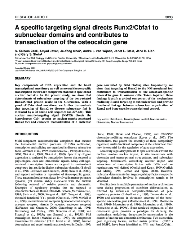 Pdf A Specific Targeting Signal Directs Runx2cbfa1 To Subnuclear