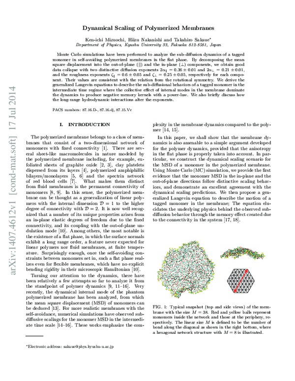 (PDF) Dynamical scaling of polymerized membranes | Hiizu Nakanishi - Academia.edu