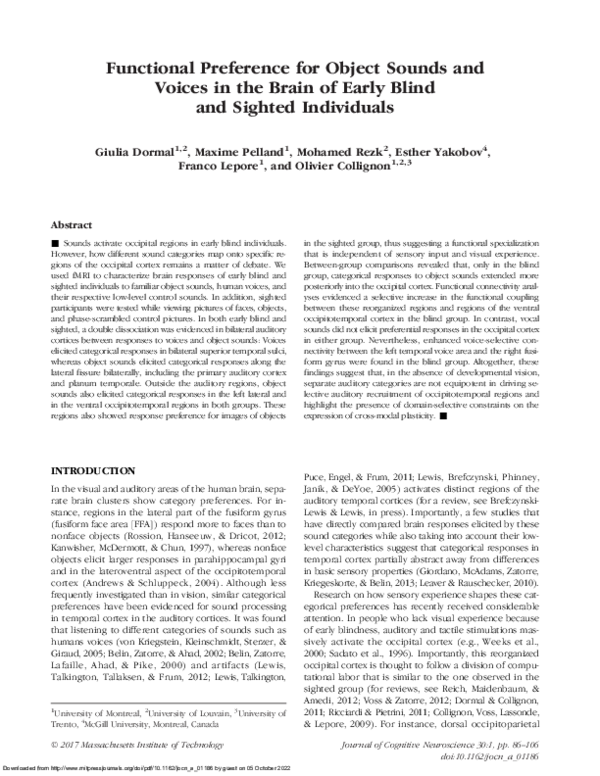 (PDF) Brain Responses to Object Sounds and Voices in Blind and Sighted